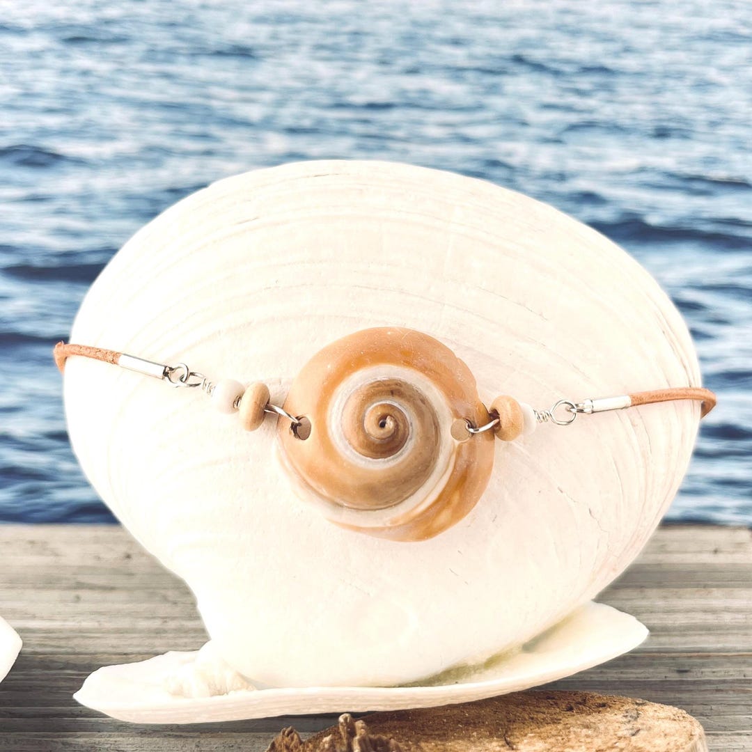 Sharks Eye Seashell Necklace, Spiral Moon Shell on Tan Leather Cord ...