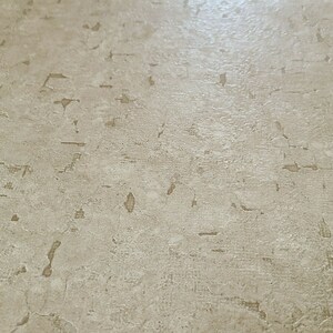 Contemporary Plain Modern Tan Brass Metallic Faux Plaster Textured ...