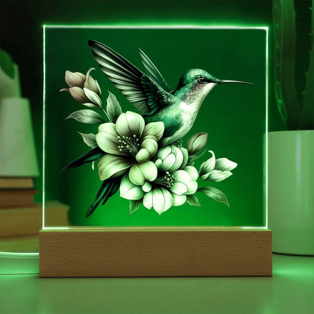 Hummingbird Acrylic LED Light Hummingbird Lamp Hummingbird Gifts Bird ...