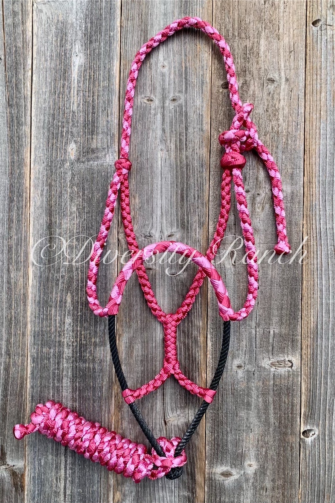 Crimson & Bubblegum Lariat Halter and Lead - Etsy
