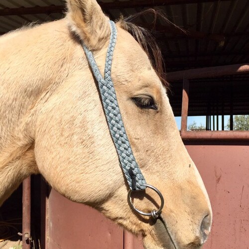 Custom Split Ear Horse Headstall - Etsy