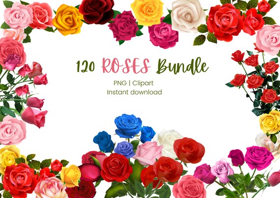 Roses Clipart Flowers Clipart Floral Elements Flowers for | Etsy