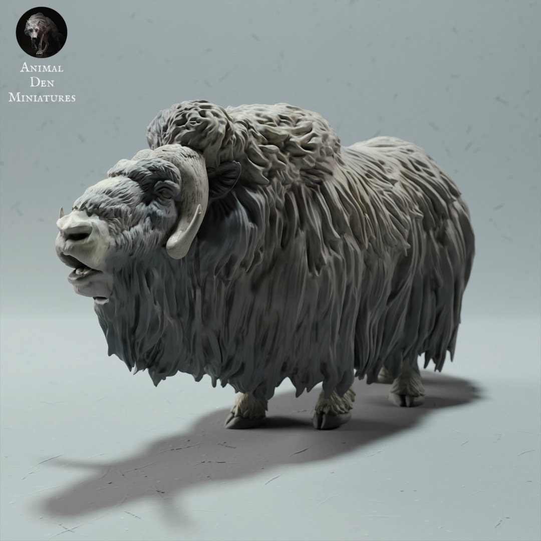 Musk Ox Ram • Unpainted • Animal Den Miniatures • Dnd • 3D Resin ...