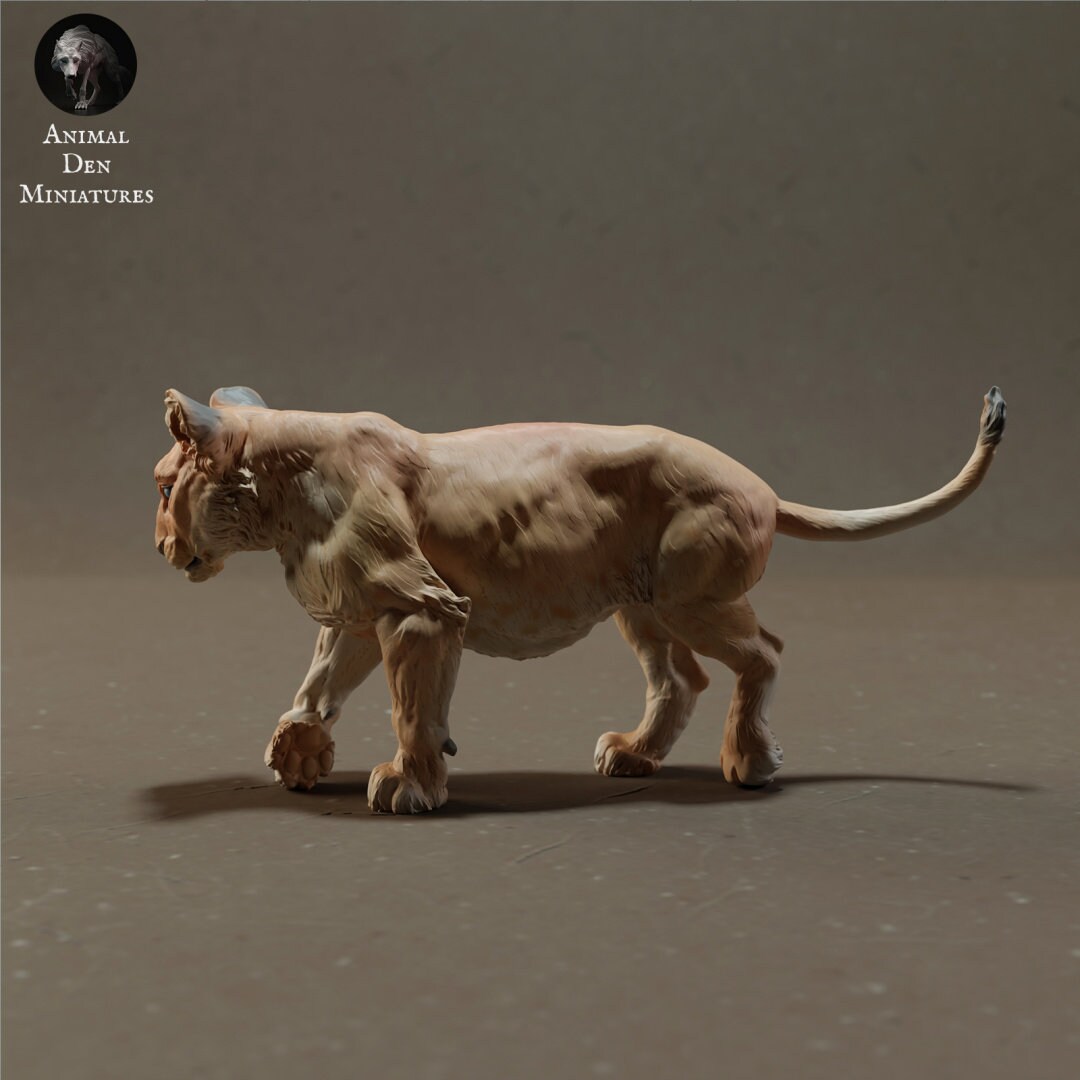 Lion Cub Unpainted Animal Den Miniatures Dnd 3D Resin - Etsy
