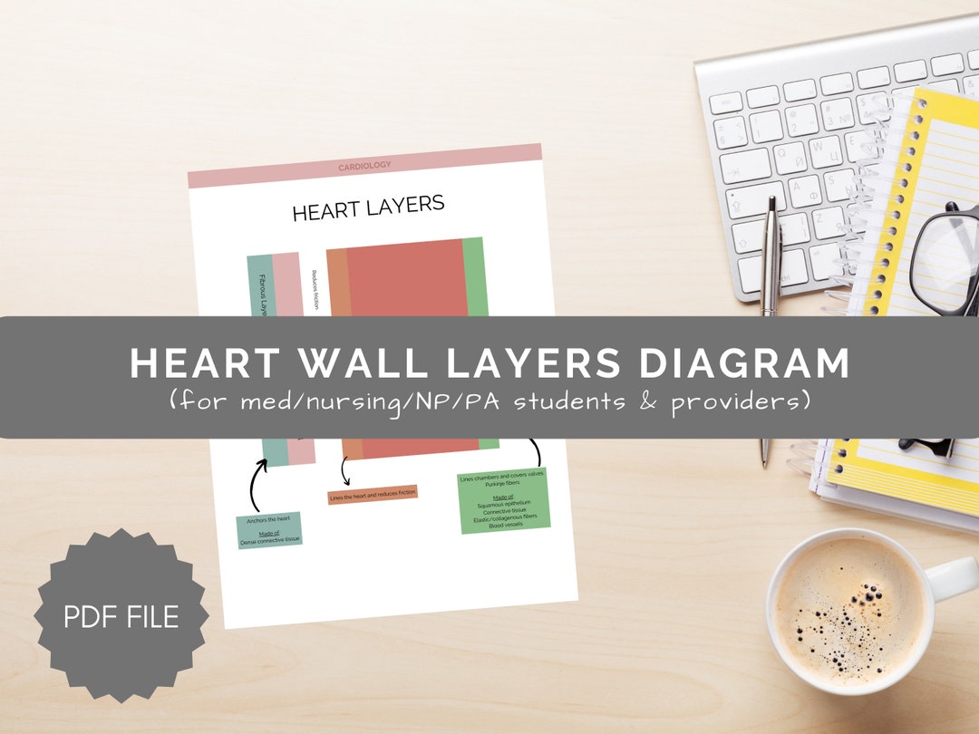 Cardiology- Heart Wall Layers, Anatomy, Cheat Sheet, Medical Student ...