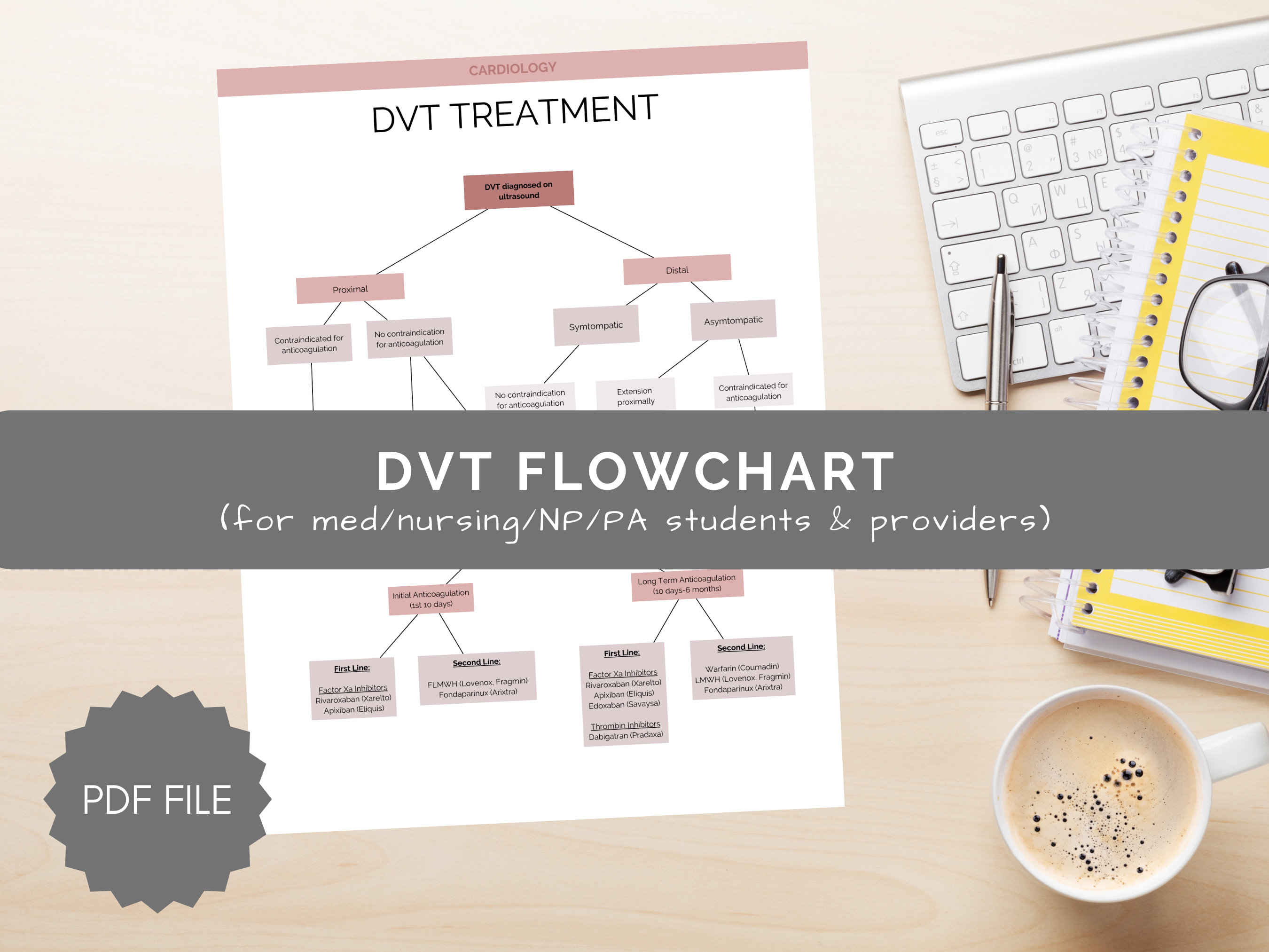 Cardiology DVT Flowchart Med School Notes Study Guide - Etsy