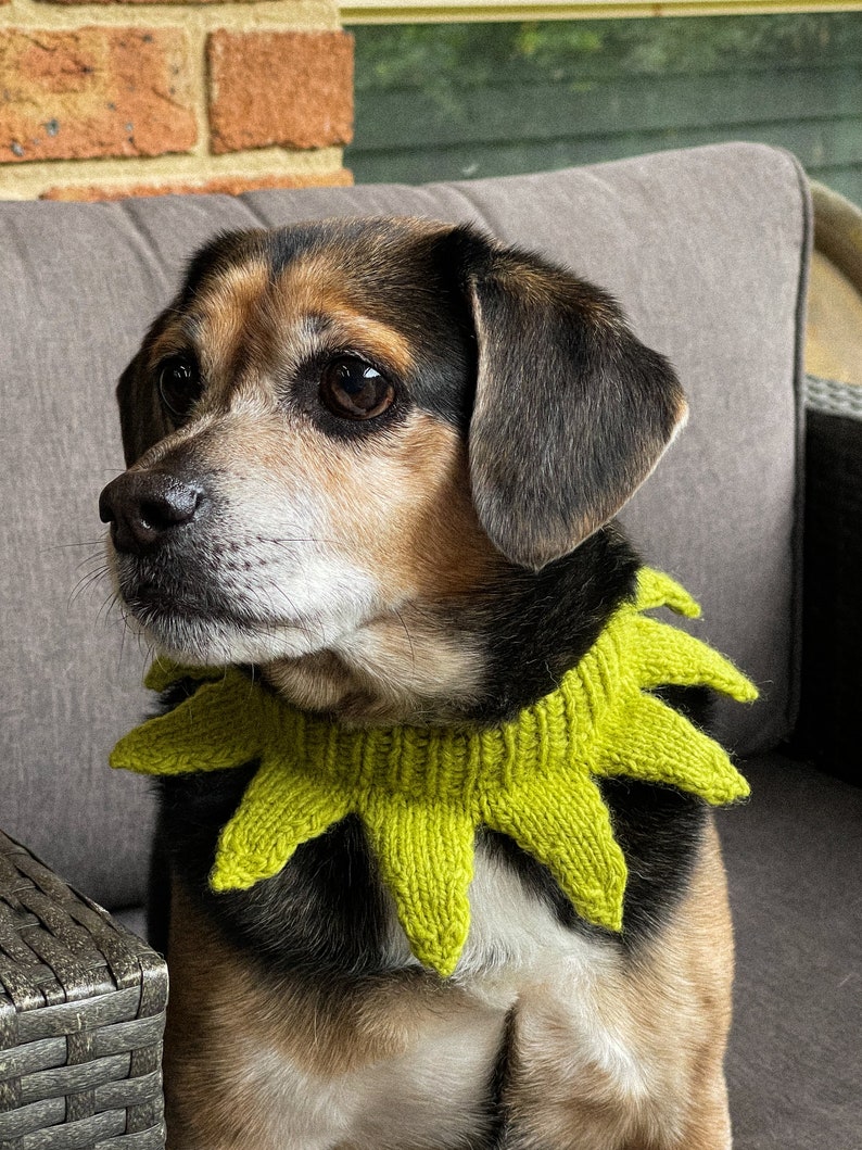 Kermit Collar Knitting Pattern - Etsy Australia