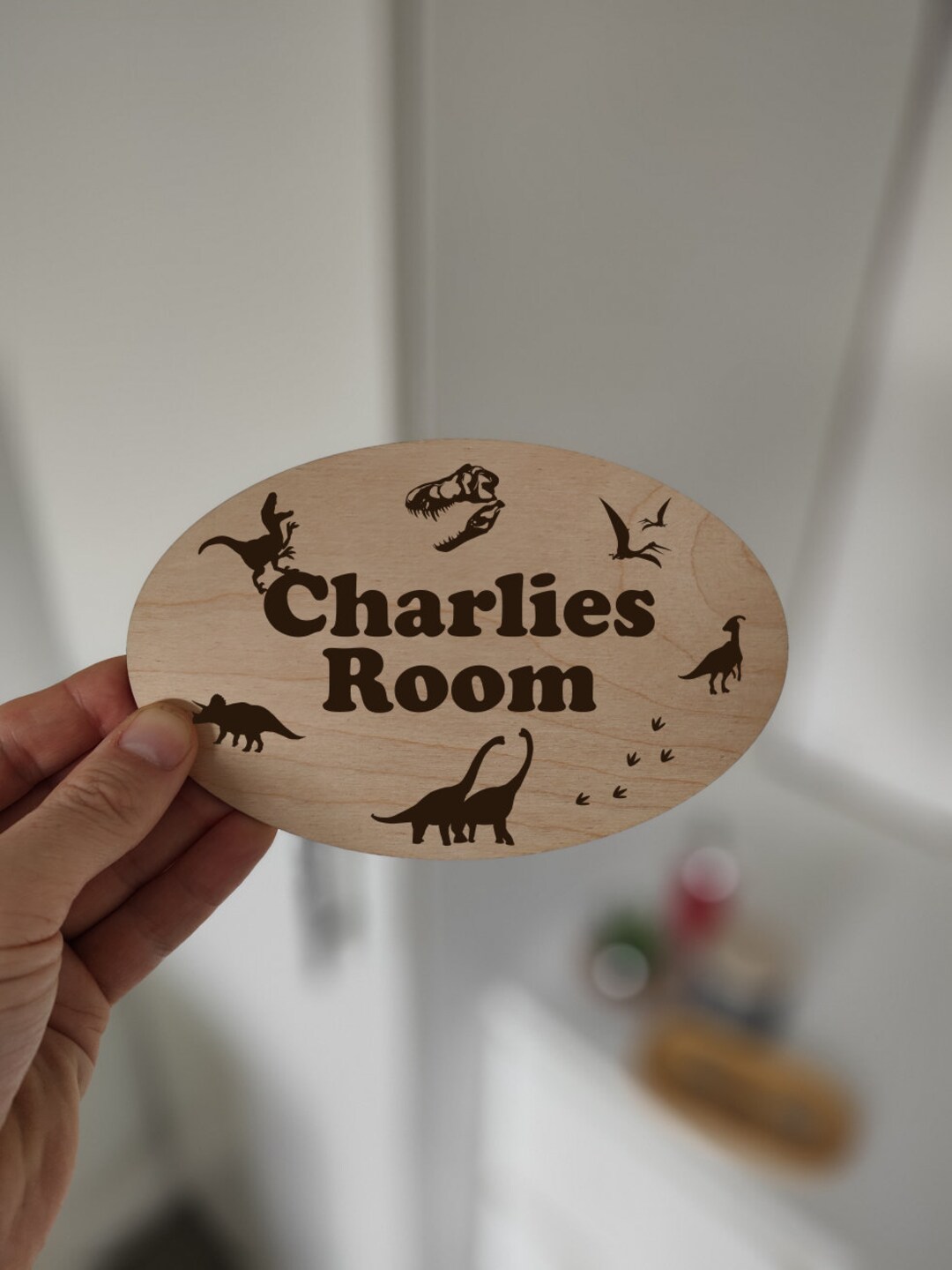 Personalised Dinosaur Door Sign for Children Wall Decor for Playrooms ...