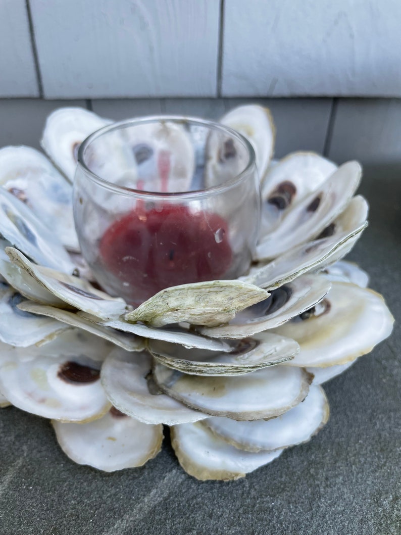 Oyster Shell Candle Holders - Etsy