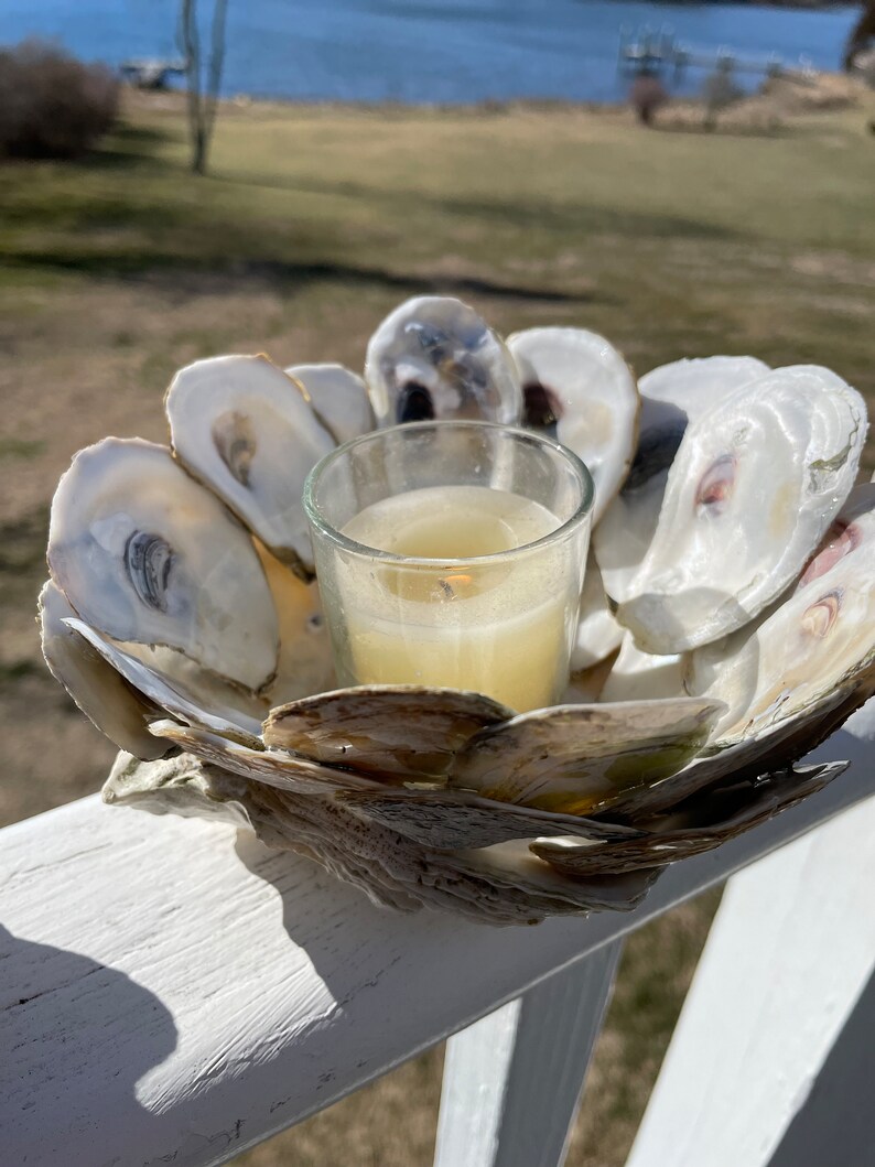 Oyster Shell Candle Holders - Etsy