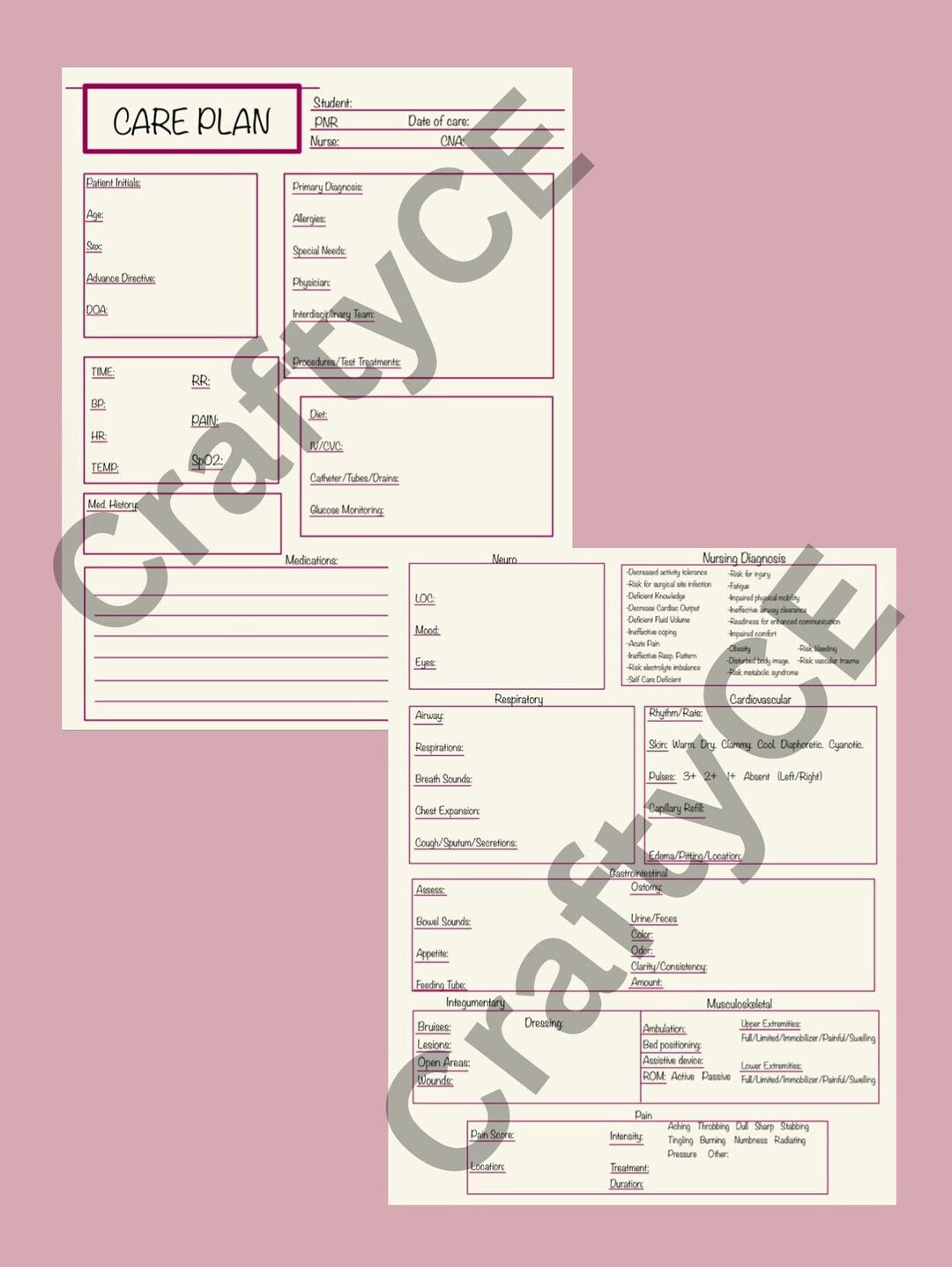 Nursing Care Plan - Etsy