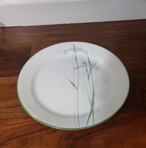 Corelle Shadow Iris - Etsy