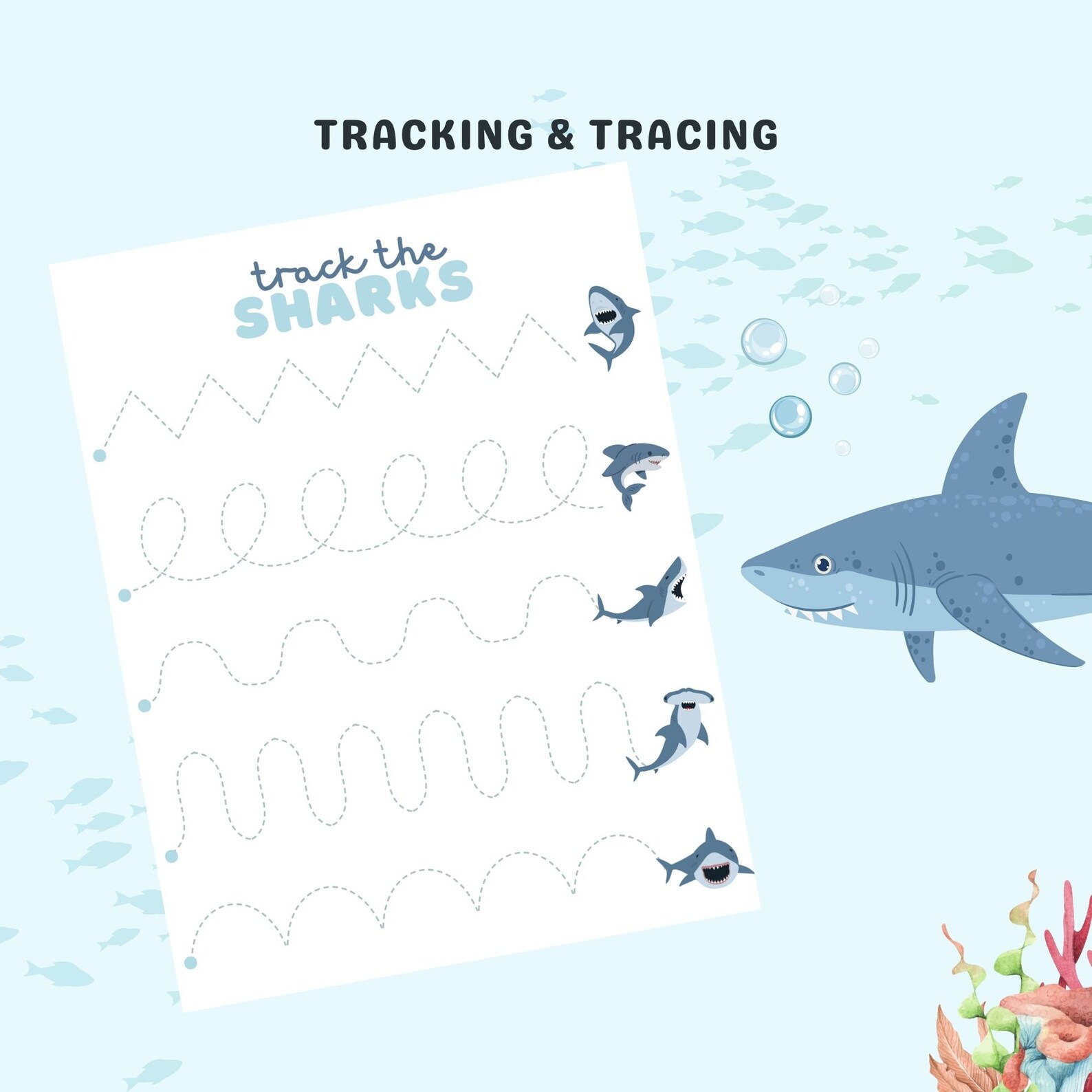 Shark Week Activity Pack, Shark Learning Pack, Preschool Activities for ...