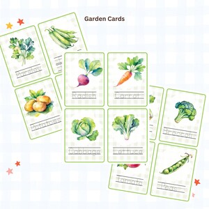 Peter Rabbit Printable Preschool Activity Pack - Educational Fun for ...