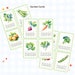 Peter Rabbit Printable Preschool Activity Pack Educational Fun for ...