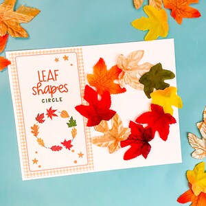 Preschool Activity Pack • Apple Activities • Preschool Activity Center ...