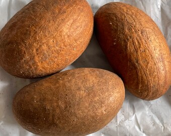Fresh Organic Authentic Bitter Kola From Nigeria GARCINIA KOLA Orogbo ...