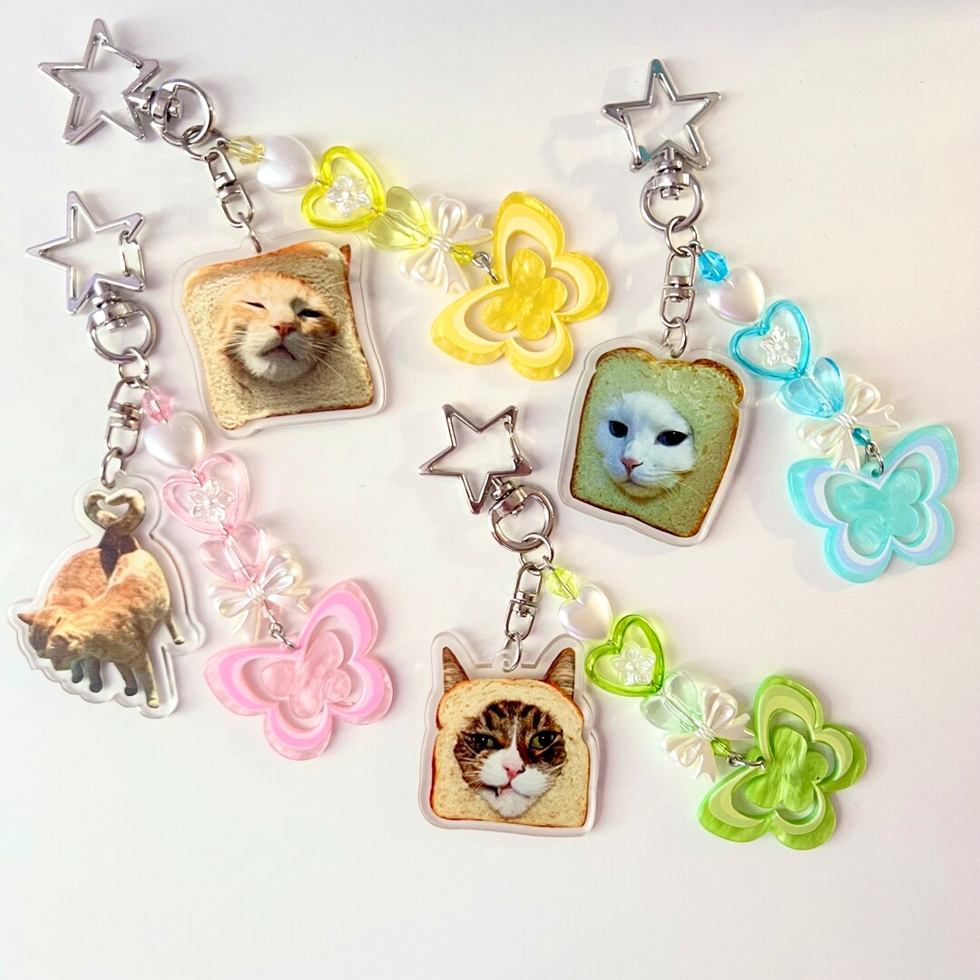 Silly Cat Meme Keychain - Etsy