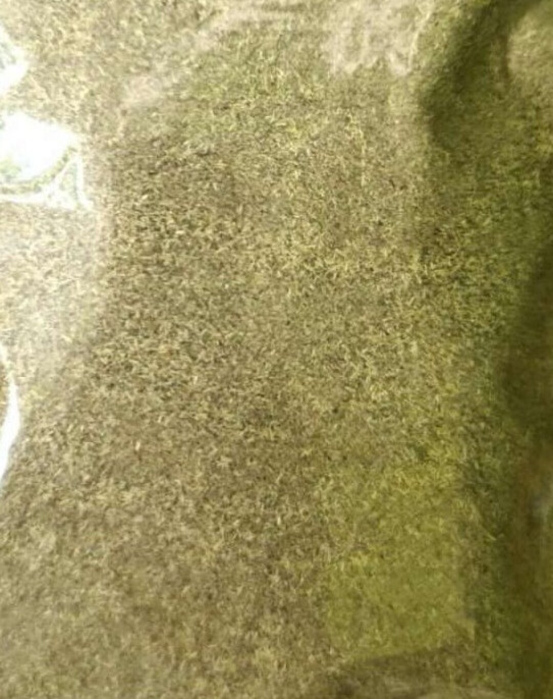 Organic Insulina Insulin Plant Leaves Powder, Pure, US Seller - Etsy