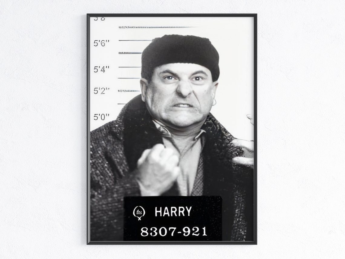 Harry Mugshot Home Alone Movie Wall Print / Harry & Marv Home - Etsy