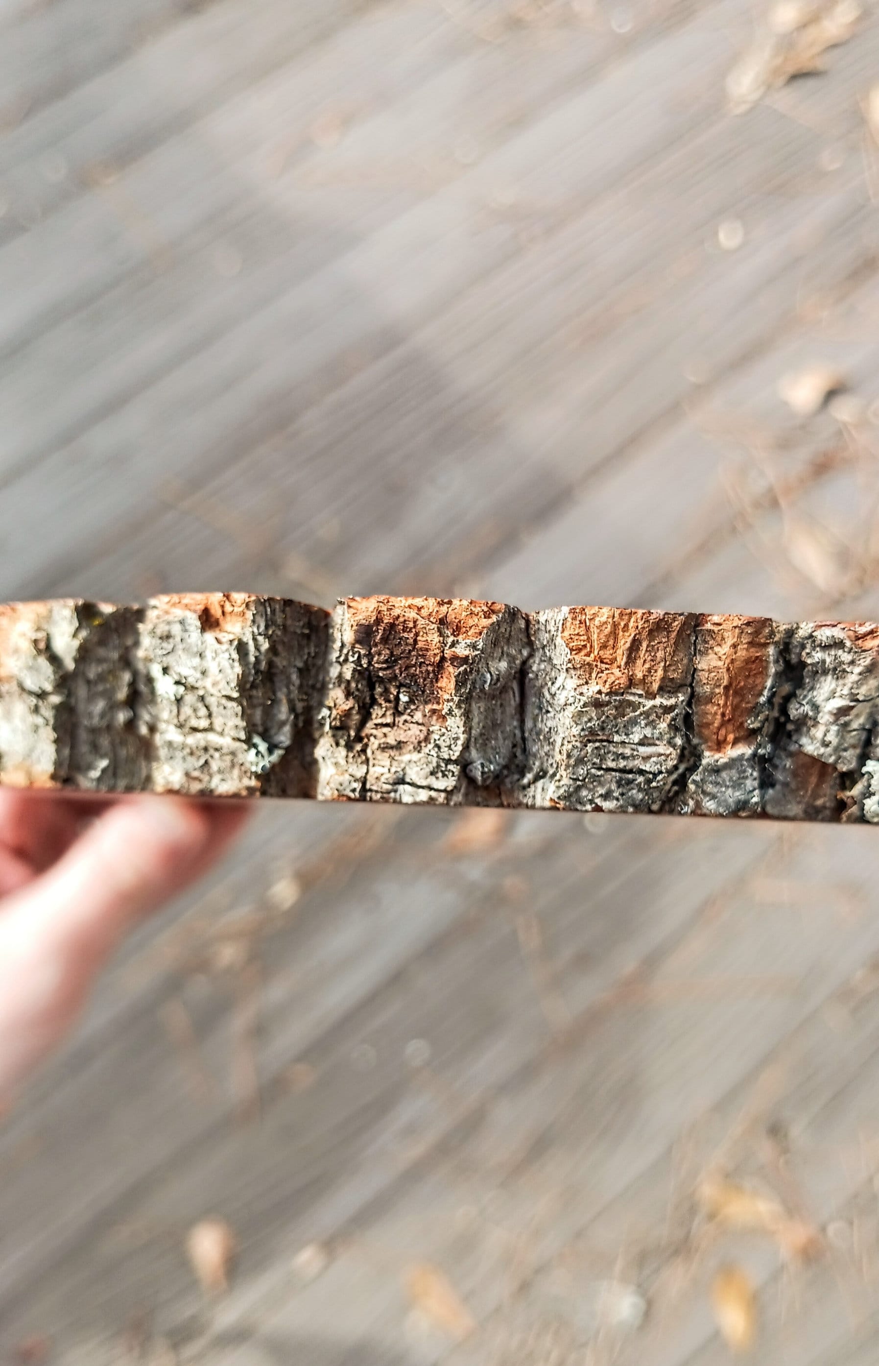 Panda Wood Burning Art, Rustic Wood Slice Art, Panda Gifts - Etsy