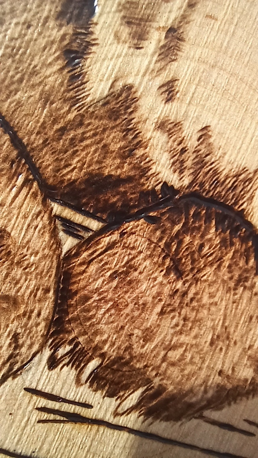 Panda Wood Burning Art, Rustic Wood Slice Art, Panda Gifts - Etsy