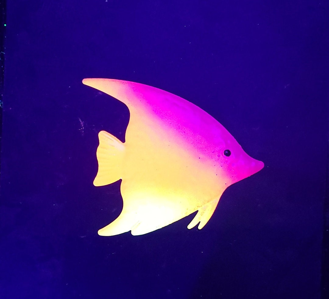Emily the Blacklight Reactive Metal Hanging Wall Fish - Etsy