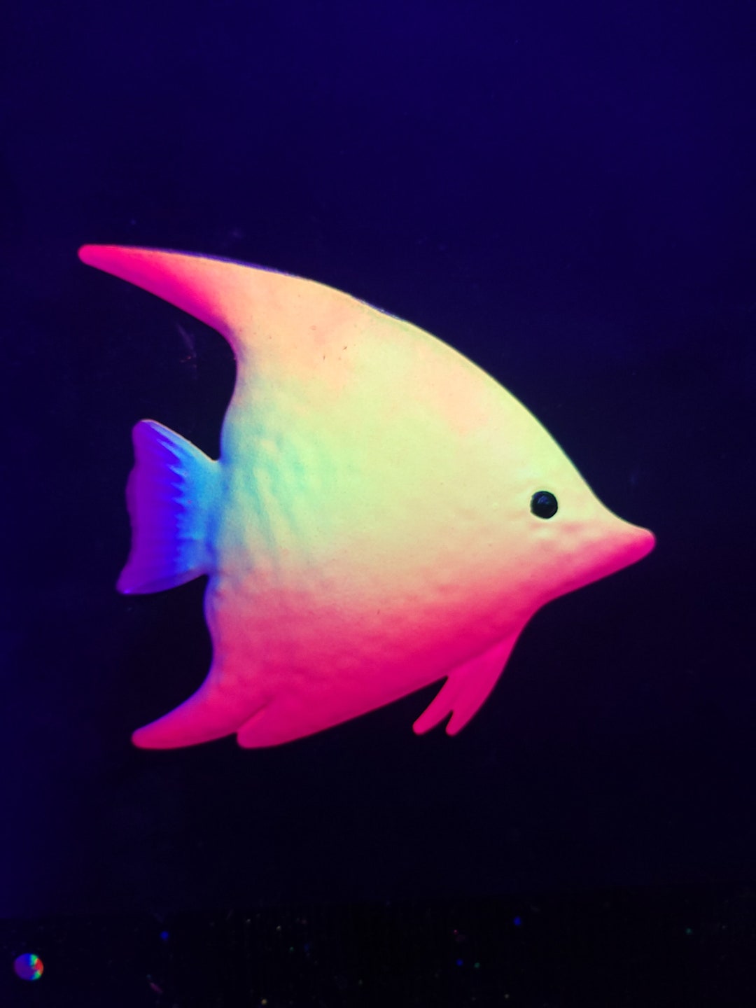 Emma the Blacklight Reactive Metal Hanging Wall Fish - Etsy