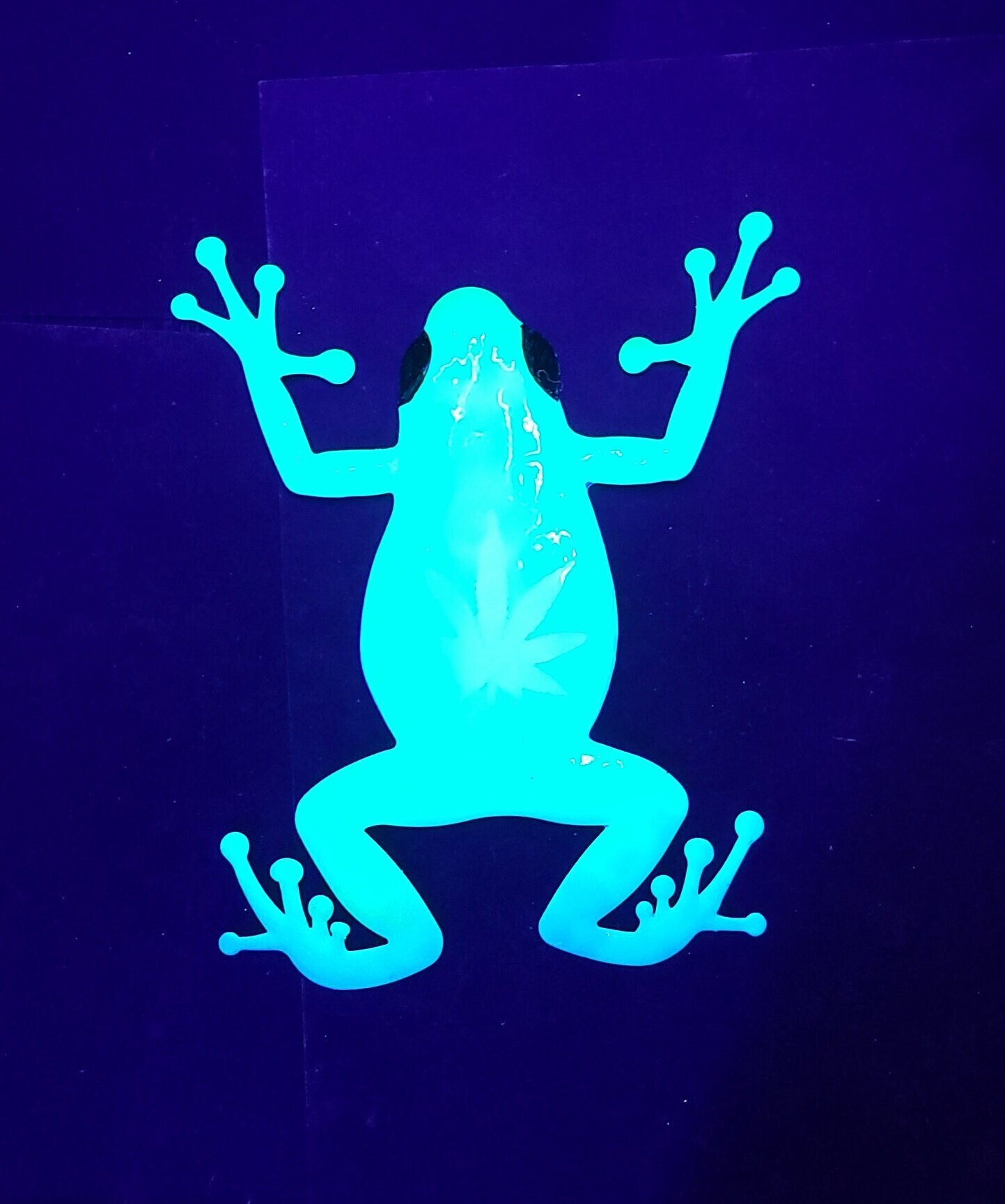 Purple Fluorescent Frog