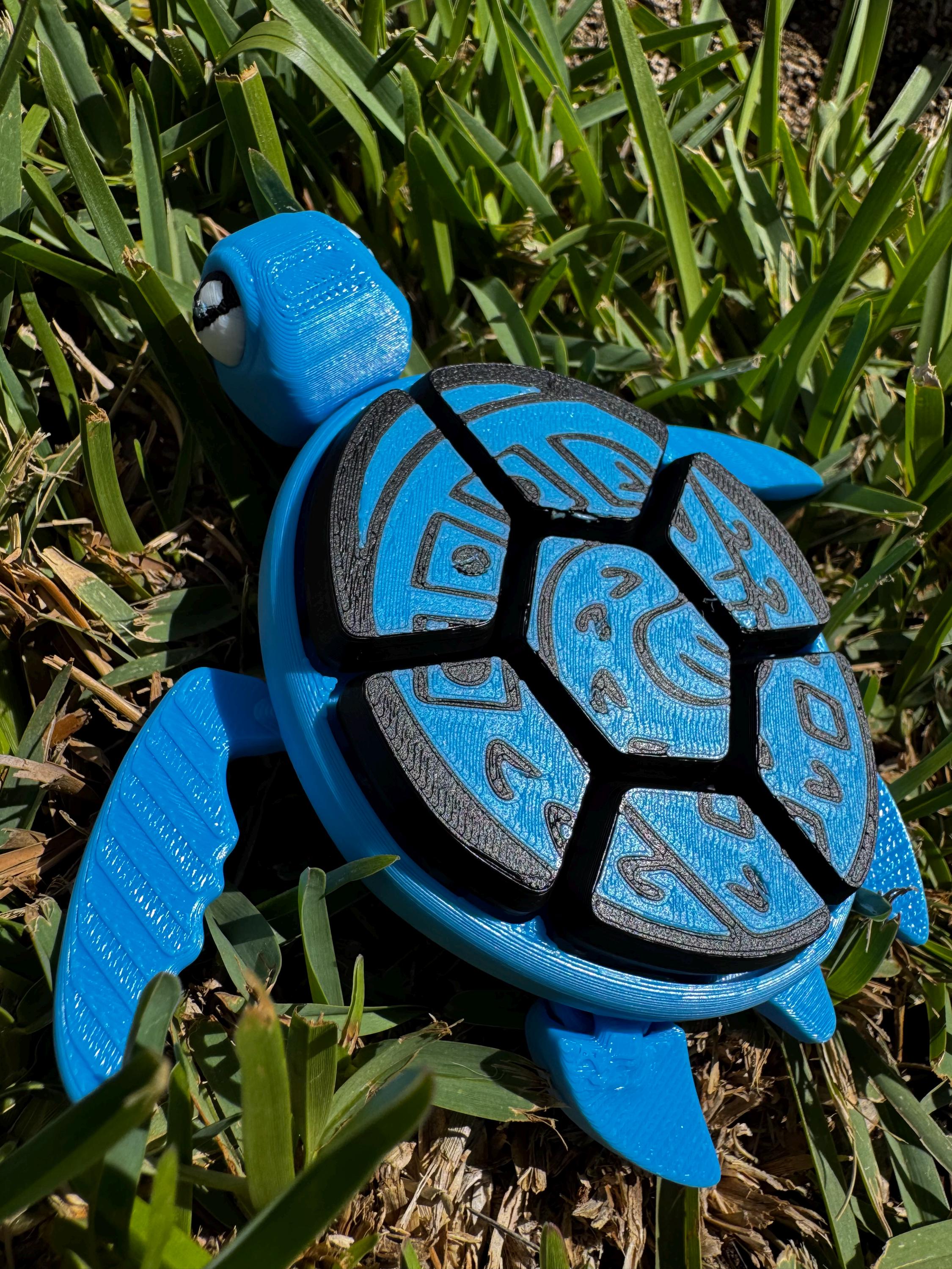 3D Printed Fidget Sea Turtle Toy – Sensory Key Caps – Fidget Turtle for ...