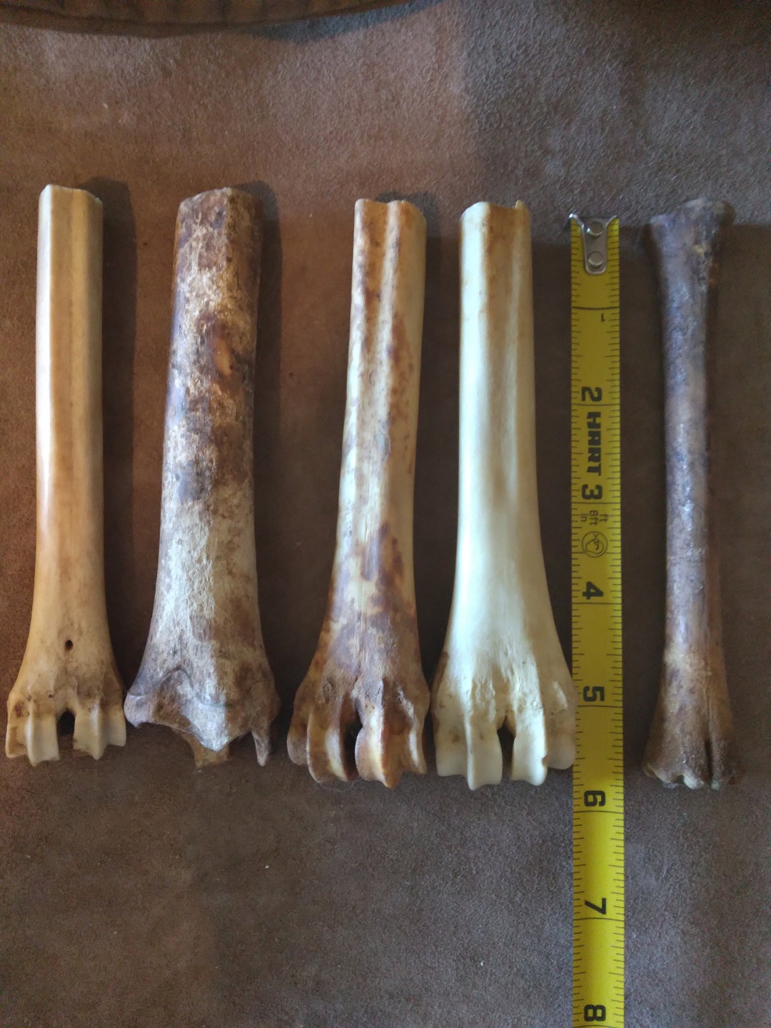 5 Rustic Deer Leg Bones 5" Plus - Etsy