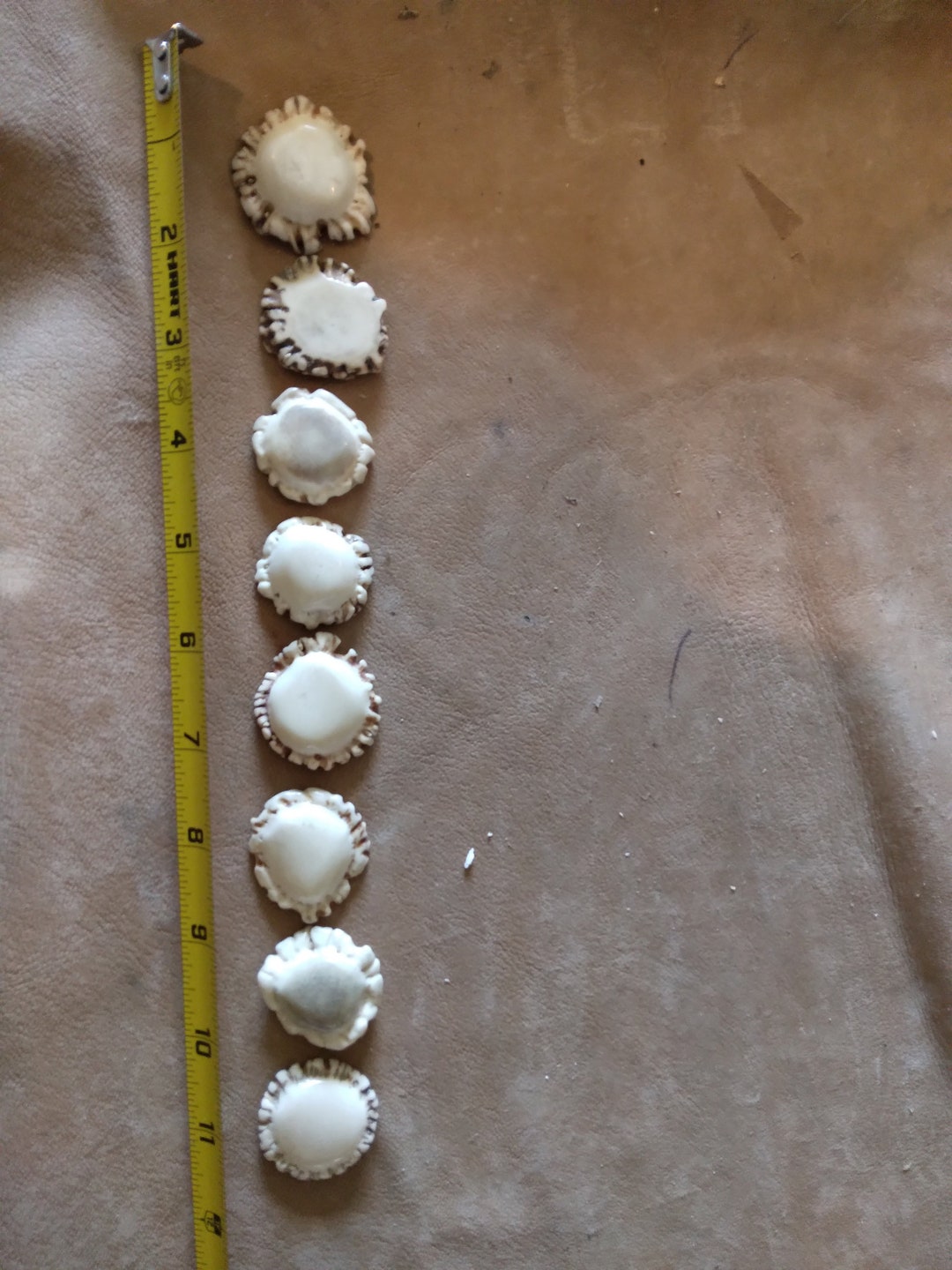 Polished Deer Antler Burrs - Etsy