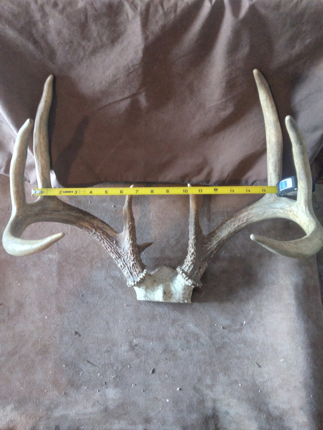 Rustic Deer Skull/antlers - Etsy