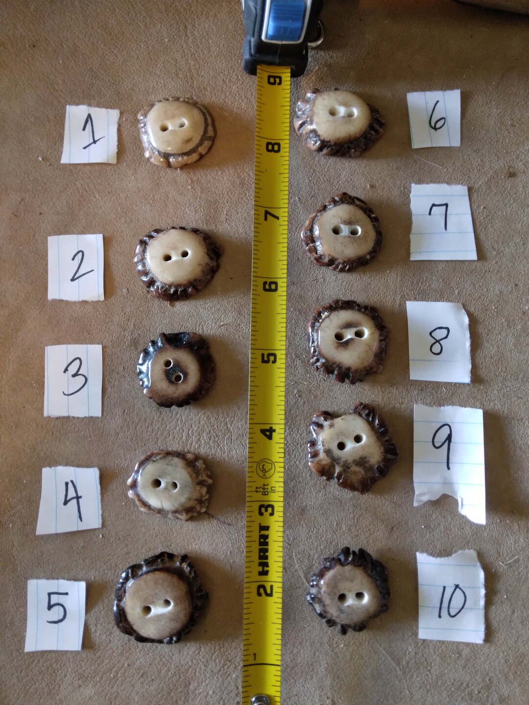 Polished/drilled Medium Deer Antler Burrs - Etsy