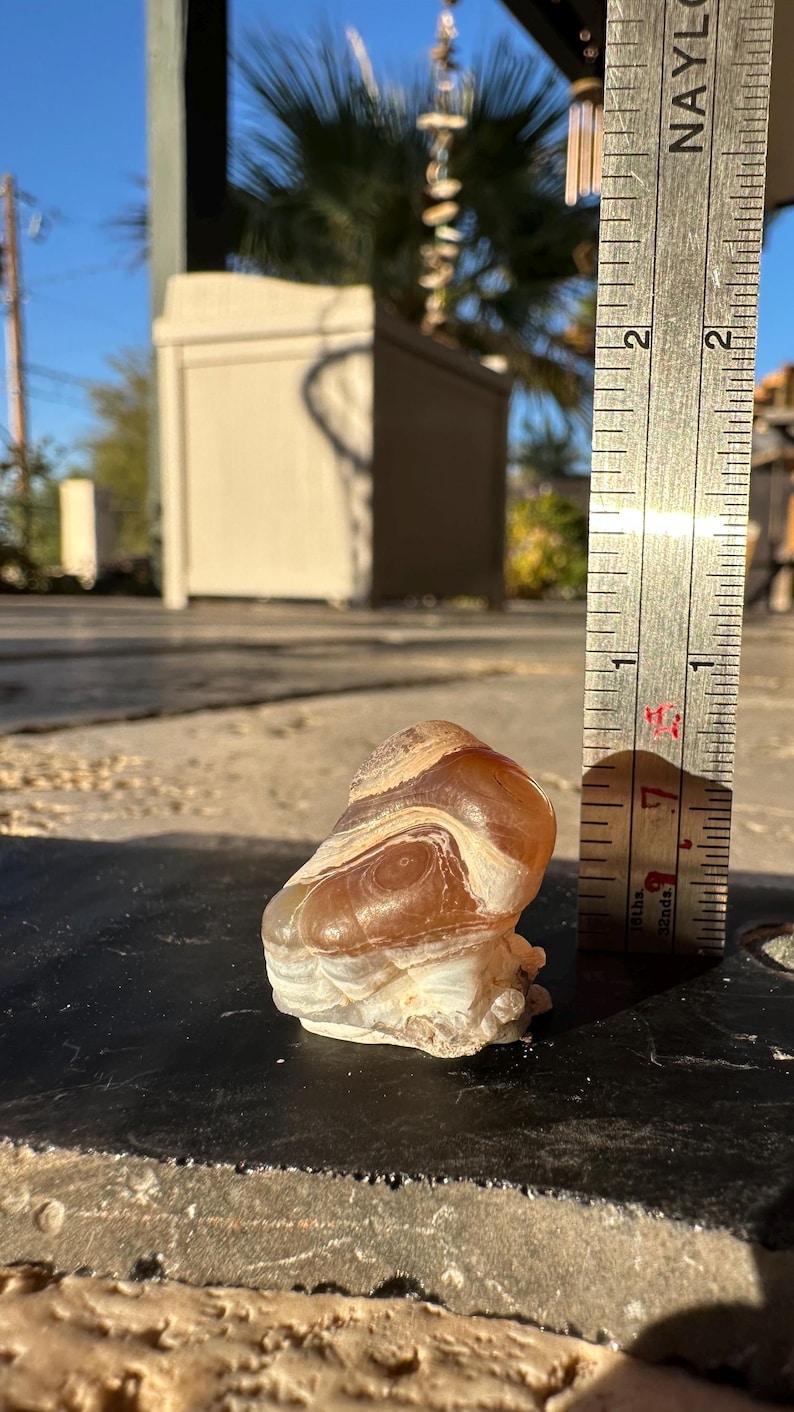 Inappropriate Rocks the ODD Ones, Bots, Fire Agates Natural Found ...
