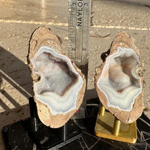 GEODE Pair, Dugway Geodes, Natural Found, Geology, Rocks, Mineral Gifts ...