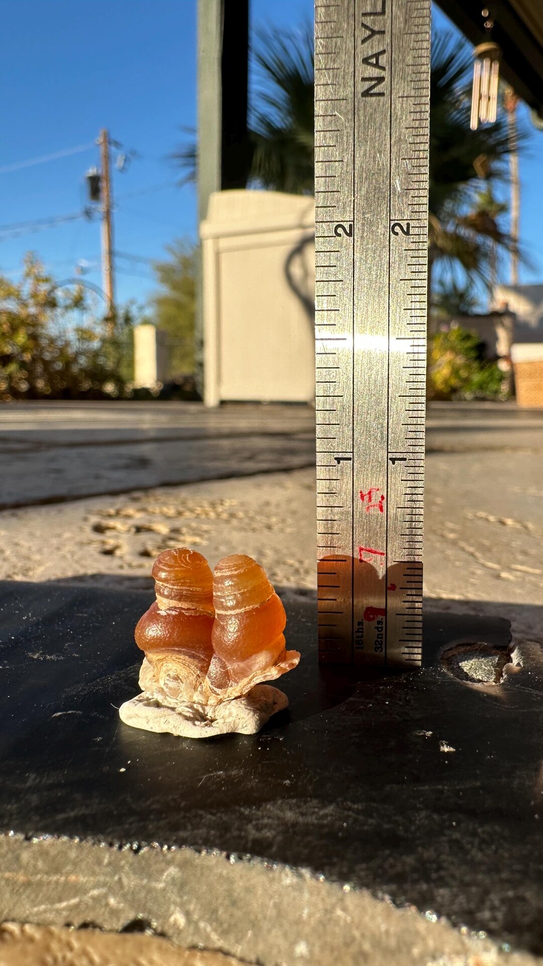 Inappropriate Rocks the Double Team, Bots, Fire Agates Natural Found ...