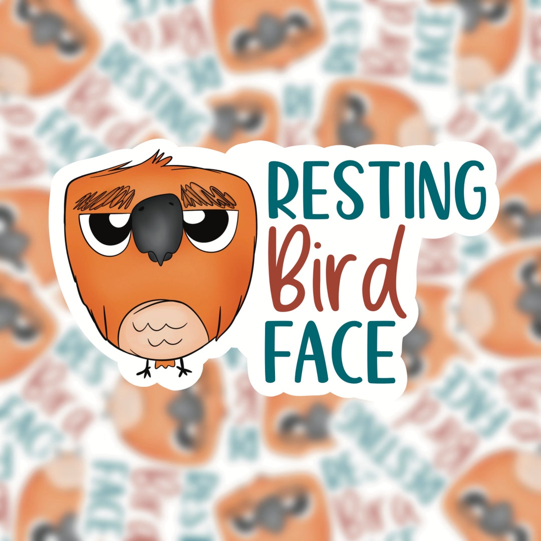 Resting Bird Face Funny Vinyl Sticker Mini and Holographic Options ...