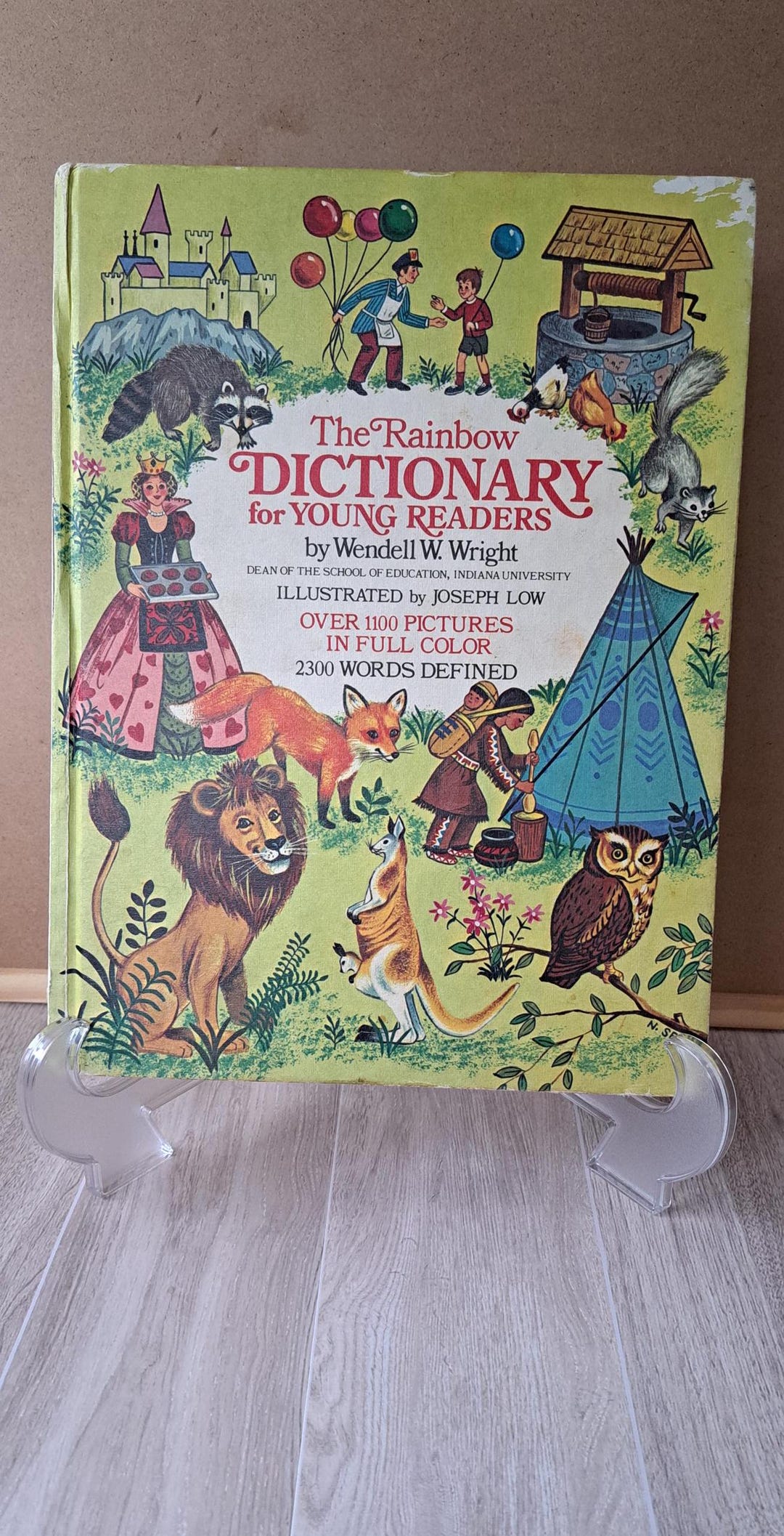 The Rainbow Dictionary for Young Readers - Etsy
