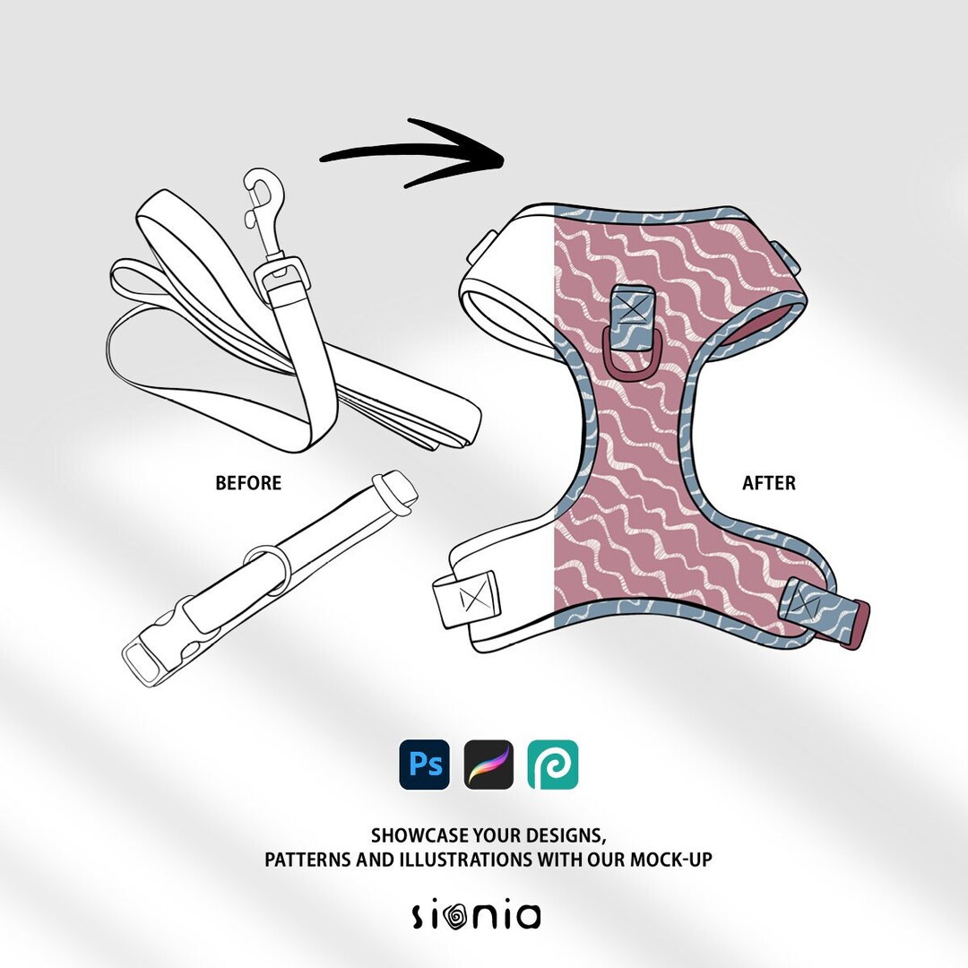 Dog Harness Bundle Set Mock-up Digital Mock up for Pup Leash Vest ...