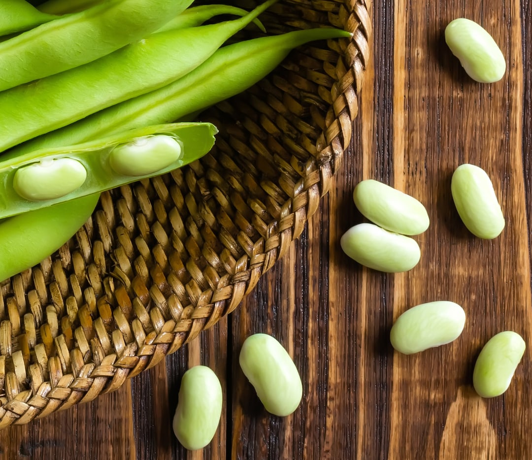 Bean Greencrop AAS Seeds Non-gmo, Open Pollinated, Heirloom for ...