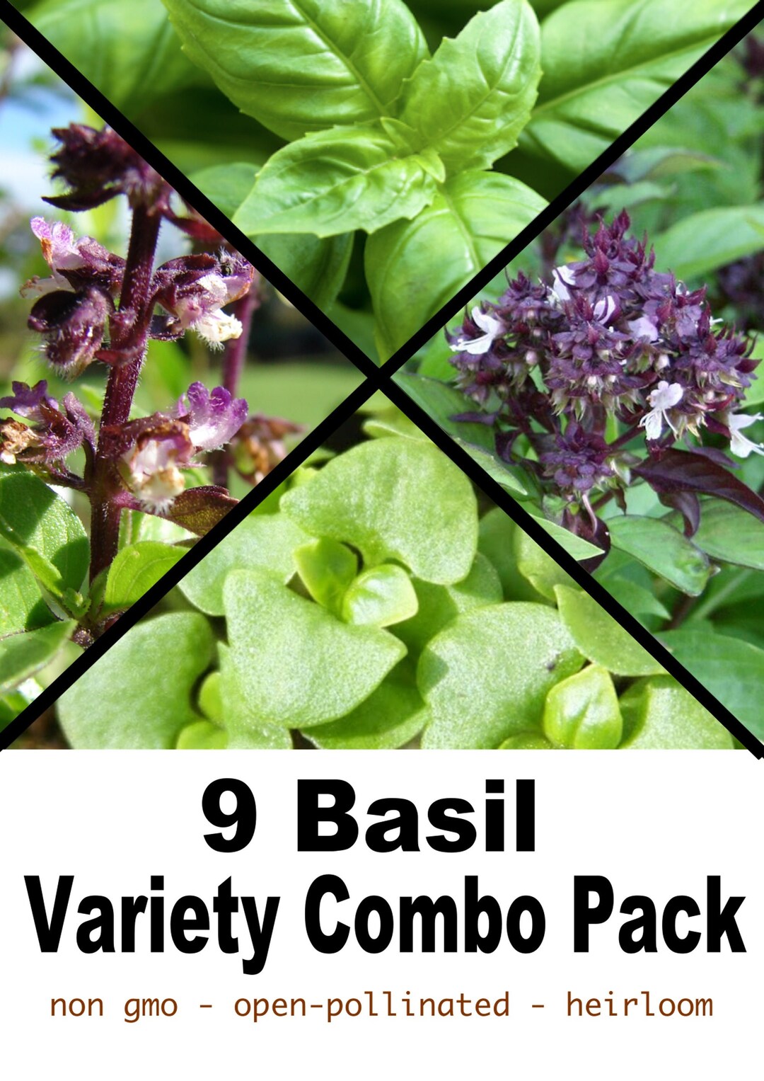 9 Basil Variety Pack Non-gmo, Heirloom Herb Seeds - Genovese - Red ...