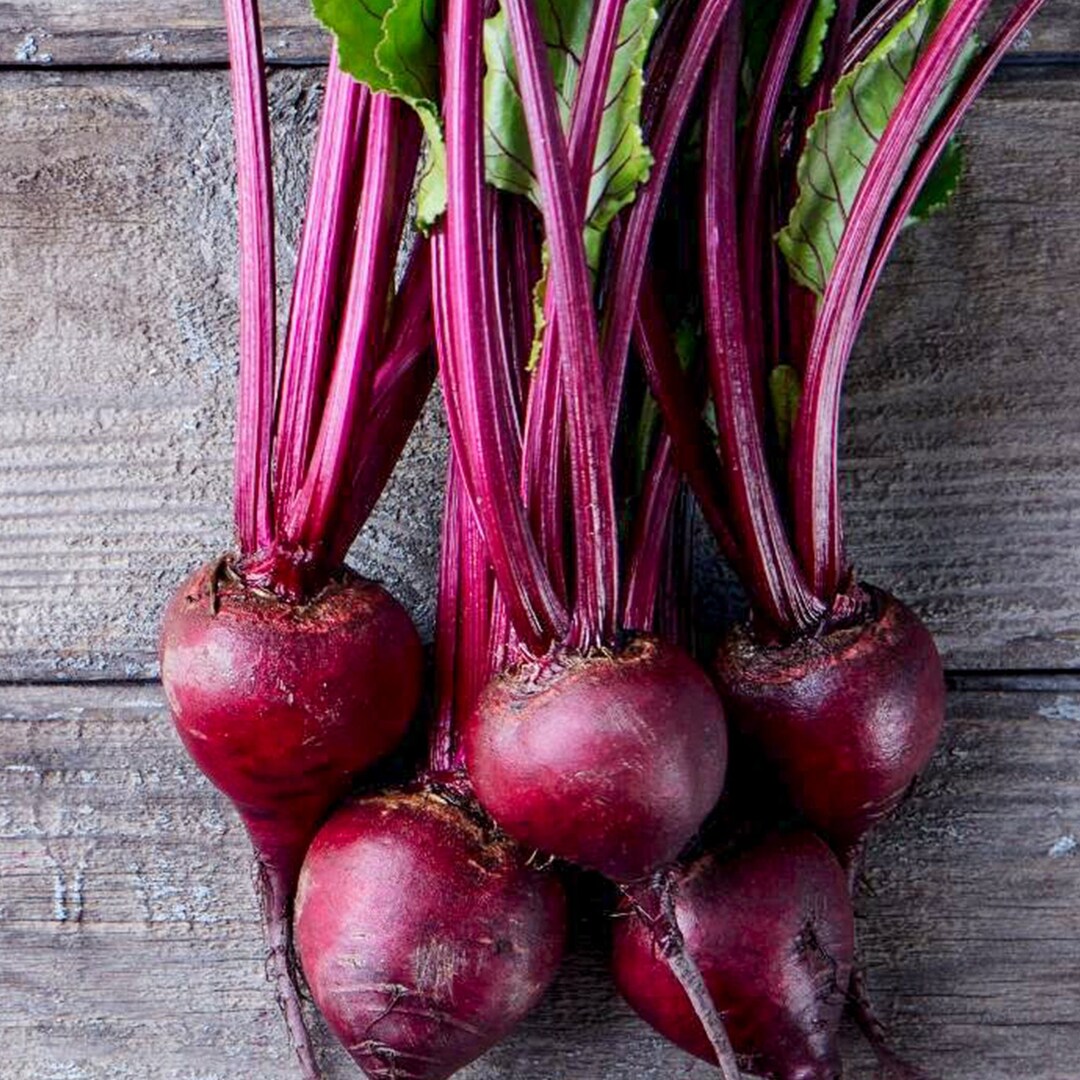 Early Wonder Tail Top Beet Seeds Non-gmo, Open Pollinated, Heirloom for ...