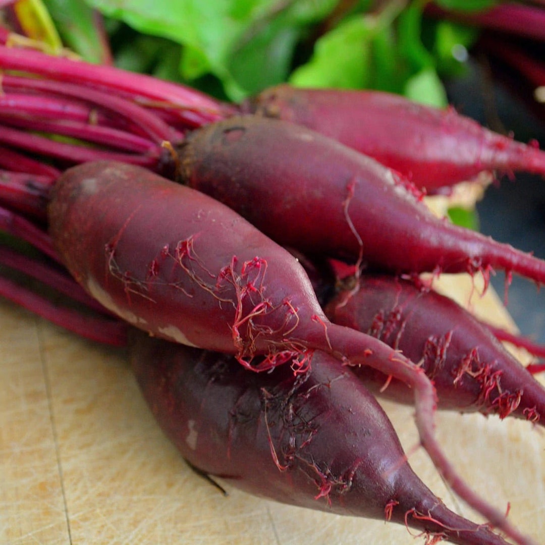 Cylindra Long Red Beet Seeds Non-gmo, Open Pollinated, Heirloom for ...