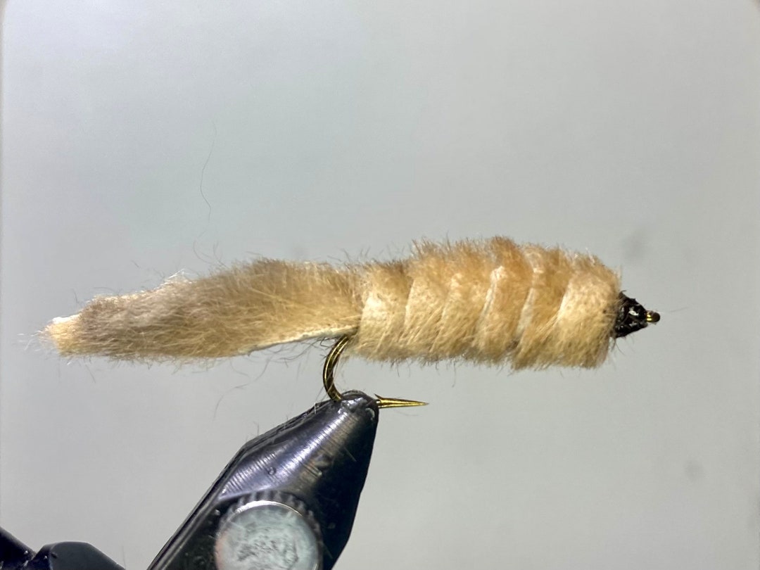 4 Pack Hilberts Philly Cheese Cranefly Cranefly Larvae - Etsy