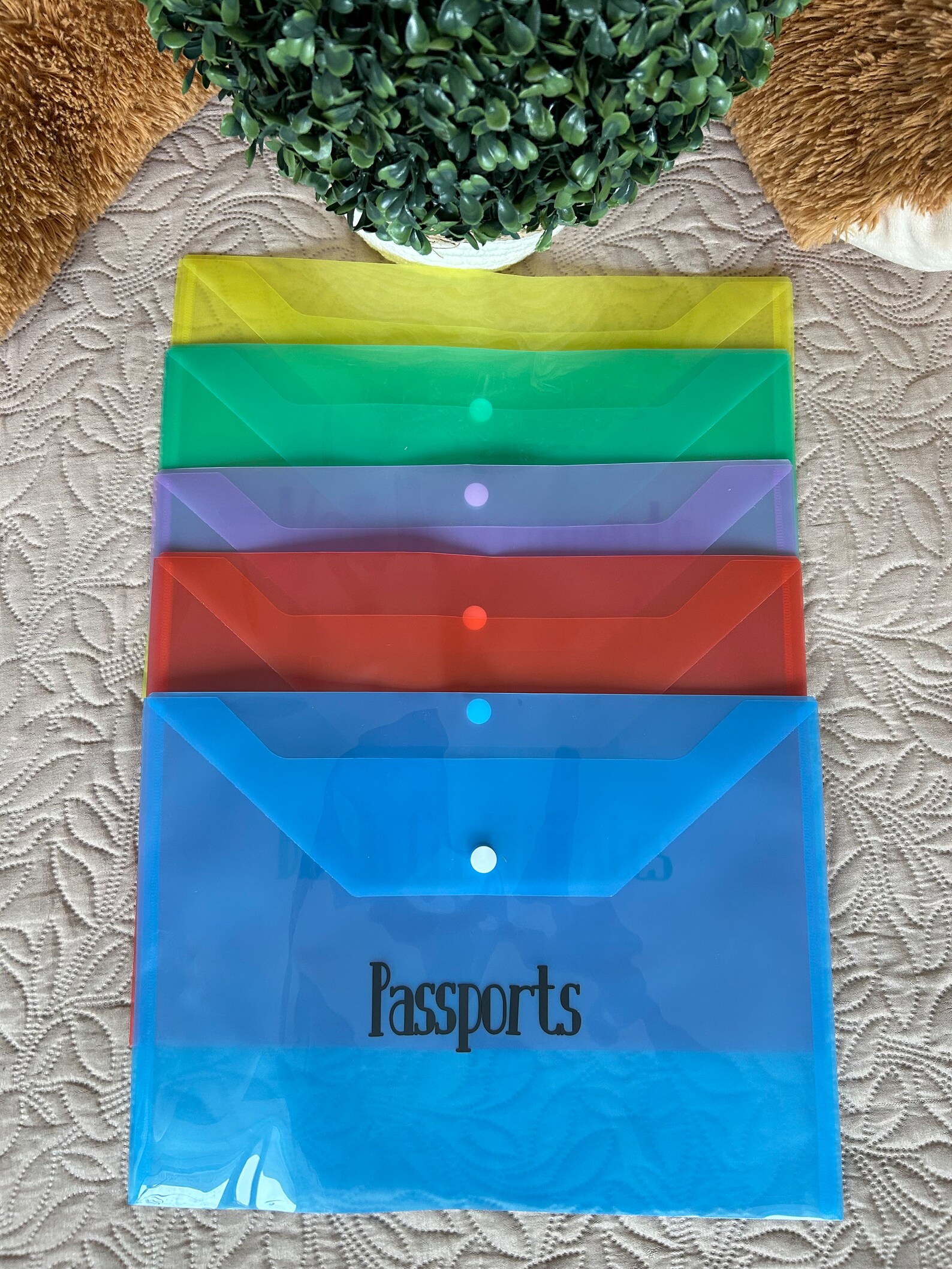 Documents Organizer/different Colour Plastic Wallets/a4 File Document ...