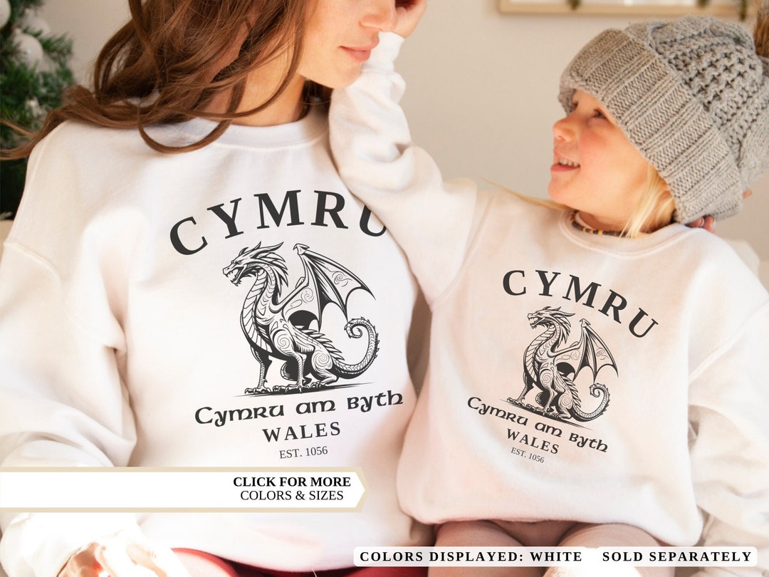 Cymru Sweatshirt, Welsh Flag, Vintage UK Hoodie, UK Souvenir, United Kingdom, Wales Gift, Welsh ...