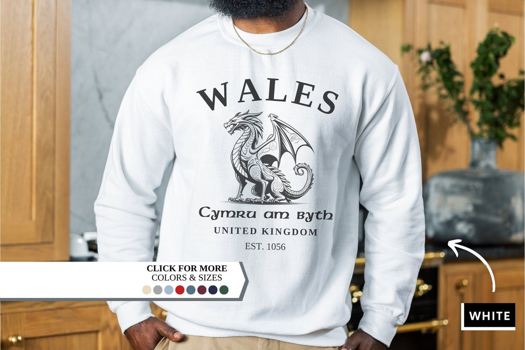 Wales Sweatshirt, Welsh Flag, Welsh Dragon, Vintage UK Hoodie, College ...