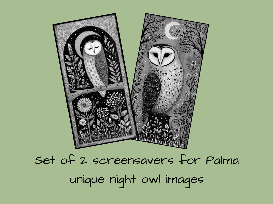 Screensaver for Boox Palma Wallpaper, Night Owl in Garden, Set of 2 ...