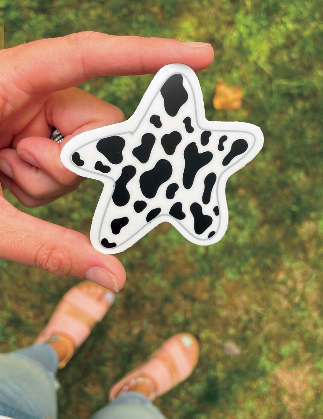 Cow Print Star Cow Print Sticker Cow Print Star Sticker - Etsy